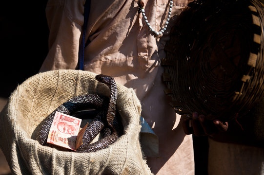 Imágenes de Fachiro: descubre bancos de fotos, ilustraciones, vectores ...