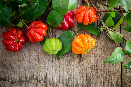 Pitanga Images – Browse 17 Stock Photos, Vectors, and Video | Adobe Stock