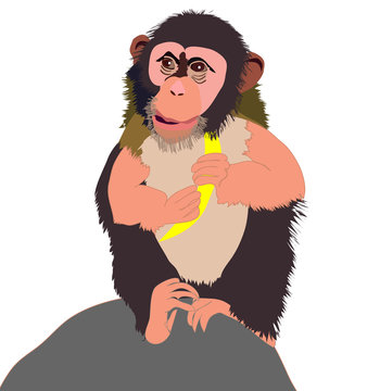 Grimacer bilder – Bläddra bland 213 stockfoton, vektorer och videor ...