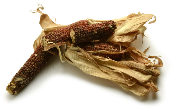 「Olote」の写真素材 | 19件の無料イラスト画像 | Adobe Stock