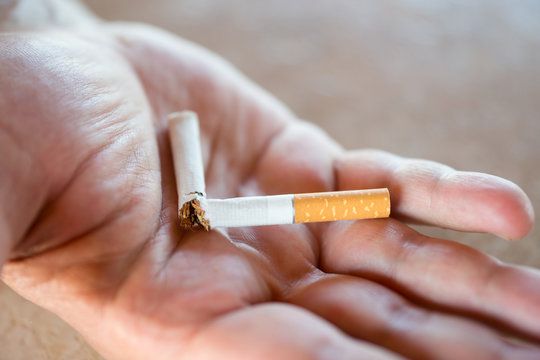 รูปภาพTabacchi – เลือกดูภาพถ่ายสต็อก เวกเตอร์ และวิดีโอ531 | Adobe Stock