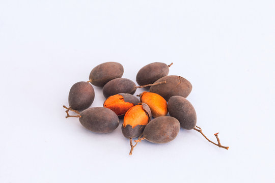 รูปภาพDialium – เลือกดูภาพถ่ายสต็อก เวกเตอร์ และวิดีโอ175 | Adobe Stock