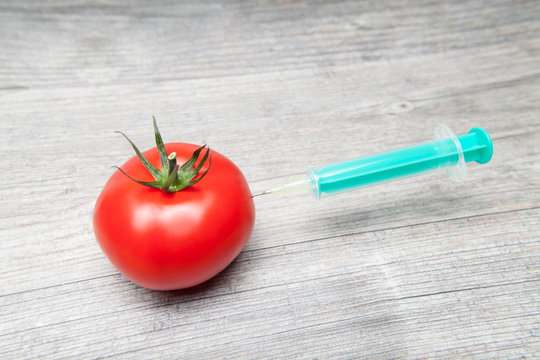 1,469 BESTE Genmanipulation BILDER, STOCK-FOTOS & -VEKTORGRAFIKEN ...