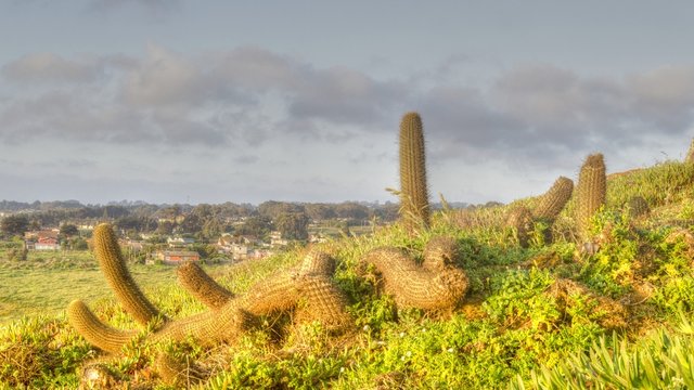รูปภาพPendice – เลือกดูภาพถ่ายสต็อก เวกเตอร์ และวิดีโอ201 | Adobe Stock