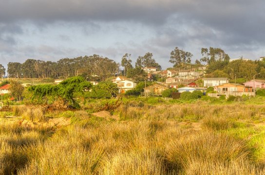 Pendice bilder – Bläddra bland 175 stockfoton, vektorer och videor ...