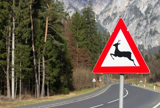 Wildwechsel-Schild Bilder – Durchsuchen 193 Archivfotos, Vektorgrafiken ...