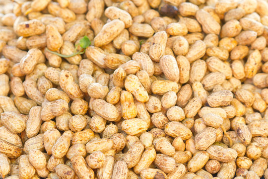 รูปภาพArachide – เลือกดูภาพถ่ายสต็อก เวกเตอร์ และวิดีโอ13,340 | Adobe Stock