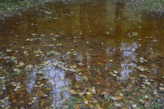 Nella Images – Browse 870 Stock Photos, Vectors, and Video | Adobe Stock