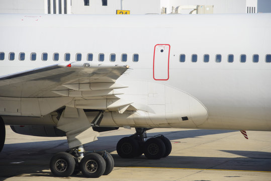 "Artificial Wing"-Bilder: Stock-Fotos & -Videos. | Adobe Stock