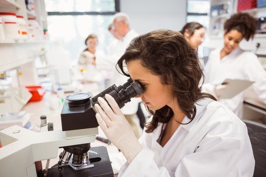 Student Lab Images – Browse 215,250 Stock Photos, Vectors, and Video ...