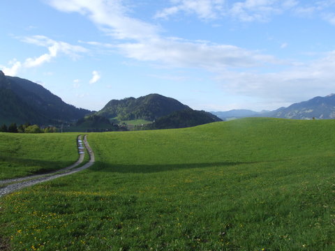 Werg bilder – Bläddra bland 169 stockfoton, vektorer och videor | Adobe ...