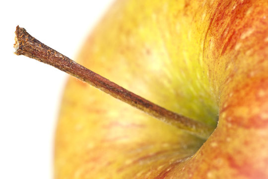 รูปภาพTafelapfel – เลือกดูภาพถ่ายสต็อก เวกเตอร์ และวิดีโอ125 | Adobe Stock