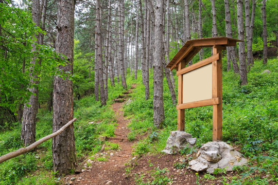 Blank Trail Sign