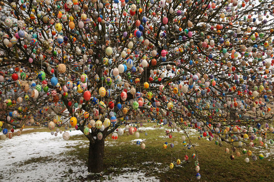 รูปภาพOstereierbaum – เลือกดูภาพถ่ายสต็อก เวกเตอร์ และวิดีโอ104 | Adobe ...