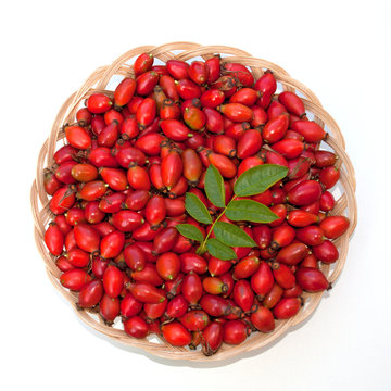 รูปภาพHiffen – เลือกดูภาพถ่ายสต็อก เวกเตอร์ และวิดีโอ326 | Adobe Stock