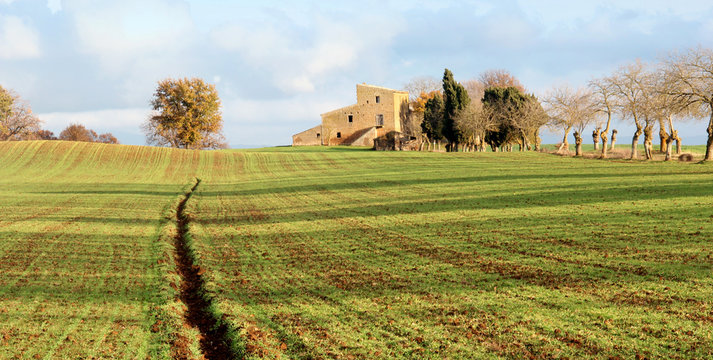 Fattoria Images – Browse 43,044 Stock Photos, Vectors, and Video ...