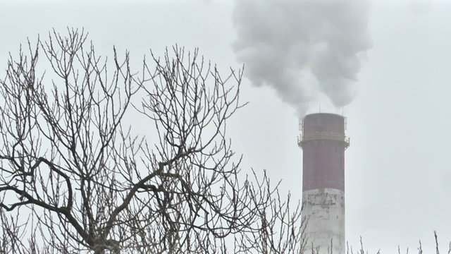 Concernment Bilder – Durchsuchen 198 Archivfotos, Vektorgrafiken und ...