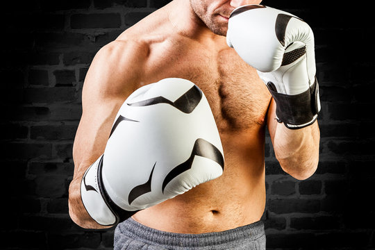 รูปภาพPrepugilistica – เลือกดูภาพถ่ายสต็อก เวกเตอร์ และวิดีโอ6 | Adobe ...