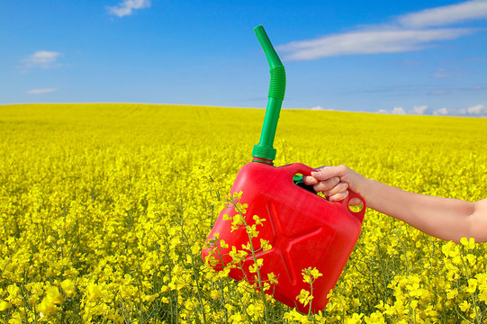 รูปภาพBiodiesel – เลือกดูภาพถ่ายสต็อก เวกเตอร์ และวิดีโอ21,522 | Adobe ...