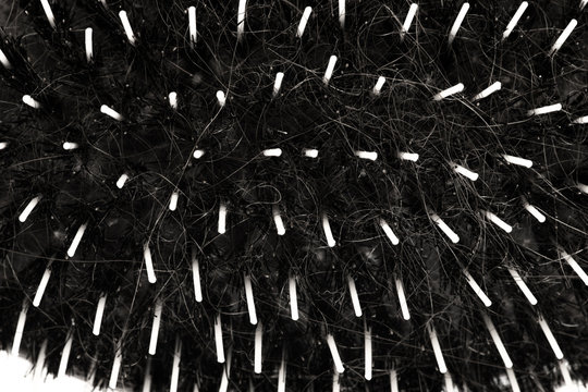 รูปภาพFussel – เลือกดูภาพถ่ายสต็อก เวกเตอร์ และวิดีโอ143 | Adobe Stock