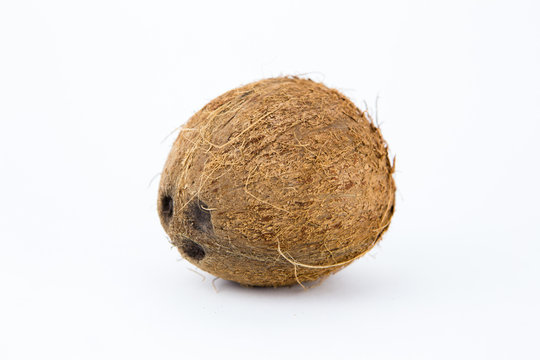 Obrázky Kokosy – procházejte fotografie, vektory a videa 143 | Adobe Stock