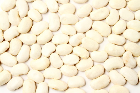 "Cuban Itch" Bilder – Durchsuchen 104 Archivfotos, Vektorgrafiken und ...