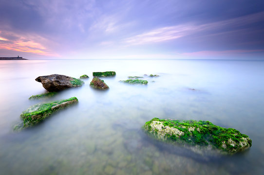 Morrongo Images – Browse 45 Stock Photos, Vectors, and Video | Adobe Stock