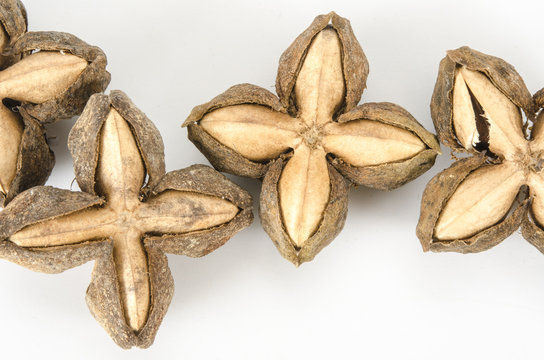 "Inchi-Bilder: Stock-Fotos & -Videos. | Adobe Stock