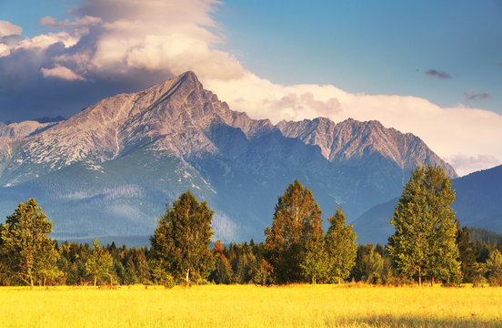 รูปภาพKrivan – เลือกดูภาพถ่ายสต็อก เวกเตอร์ และวิดีโอ2,554 | Adobe Stock