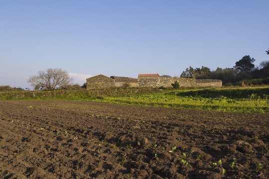 รูปภาพBerzas – เลือกดูภาพถ่ายสต็อก เวกเตอร์ และวิดีโอ83 | Adobe Stock