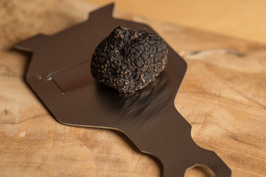 รูปภาพTrifola – เลือกดูภาพถ่ายสต็อก เวกเตอร์ และวิดีโอ83 | Adobe Stock