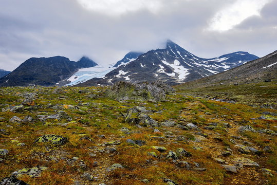 รูปภาพGlebia – เลือกดูภาพถ่ายสต็อก เวกเตอร์ และวิดีโอ115 | Adobe Stock