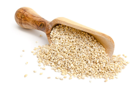 Korngryn bilder – Bläddra bland 9,086 stockfoton, vektorer och videor ...