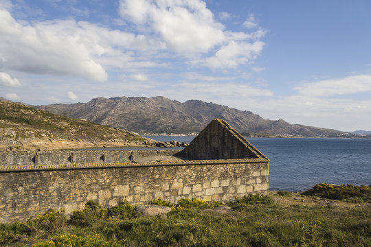 Ballenera Images – Browse 15 Stock Photos, Vectors, and Video | Adobe Stock