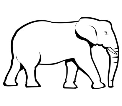 Printable Elephant Outline