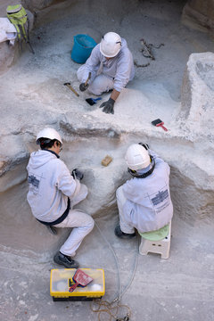 Restauratori bilder – Bläddra bland 350 stockfoton, vektorer och videor ...