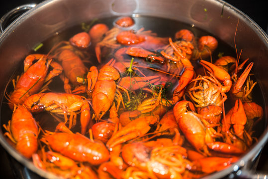 รูปภาพCraw – เลือกดูภาพถ่ายสต็อก เวกเตอร์ และวิดีโอ4,773 | Adobe Stock