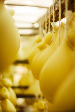 รูปภาพPeretta – เลือกดูภาพถ่ายสต็อก เวกเตอร์ และวิดีโอ25 | Adobe Stock