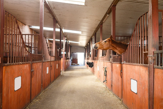 รูปภาพStable – เลือกดูภาพถ่ายสต็อก เวกเตอร์ และวิดีโอ137,399 | Adobe Stock รูปภาพStable – เลือกดูภาพถ่ายสต็อก เวกเตอร์ และวิดีโอ137,399 | Adobe Stock