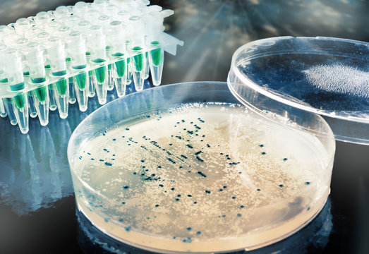 Microbal bilder – Bläddra bland 81 stockfoton, vektorer och videor ...