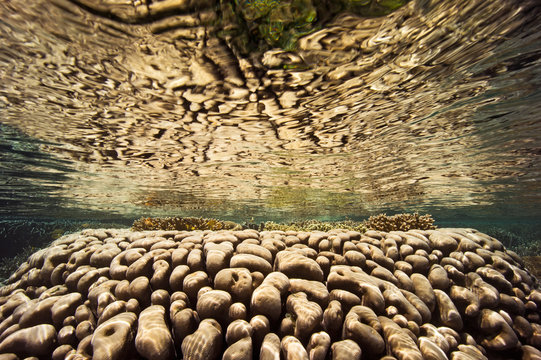 Seicht Bilder – Durchsuchen 1,785 Archivfotos, Vektorgrafiken und ...