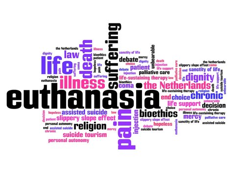 รูปภาพEuthanasia – เลือกดูภาพถ่ายสต็อก เวกเตอร์ และวิดีโอ3,351 | Adobe ...