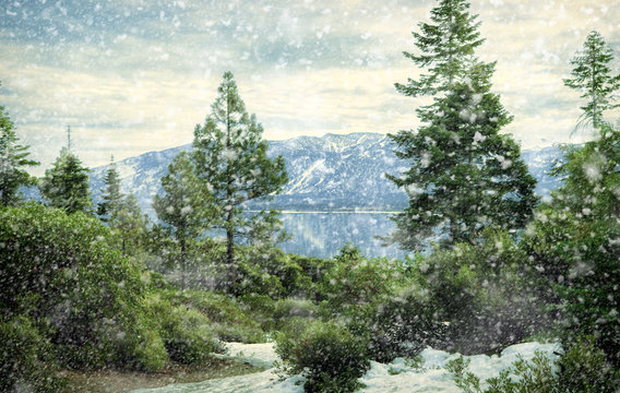 Snow-Bank Images – Browse 62 Stock Photos, Vectors, and Video | Adobe Stock