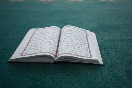 Arabka Images – Browse 20 Stock Photos, Vectors, and Video | Adobe Stock