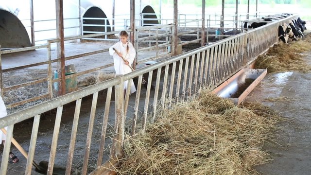 Imagens de Hayfork – Explore Fotografias do Stock, Vetores e Vídeos de ...
