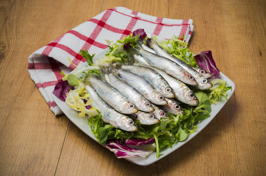 Imágenes de Parrocha: descubre bancos de fotos, ilustraciones, vectores ...