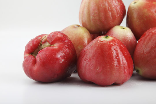 รูปภาพChambakka – เลือกดูภาพถ่ายสต็อก เวกเตอร์ และวิดีโอ2,370 | Adobe Stock