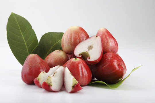 รูปภาพJamalac – เลือกดูภาพถ่ายสต็อก เวกเตอร์ และวิดีโอ2,352 | Adobe Stock