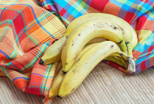 "Fond Madras" Bilder – Durchsuchen 5 Archivfotos, Vektorgrafiken und ...