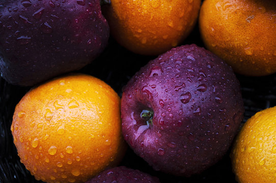 "Frutta Invernale" Bilder – Durchsuchen 74 Archivfotos, Vektorgrafiken ...